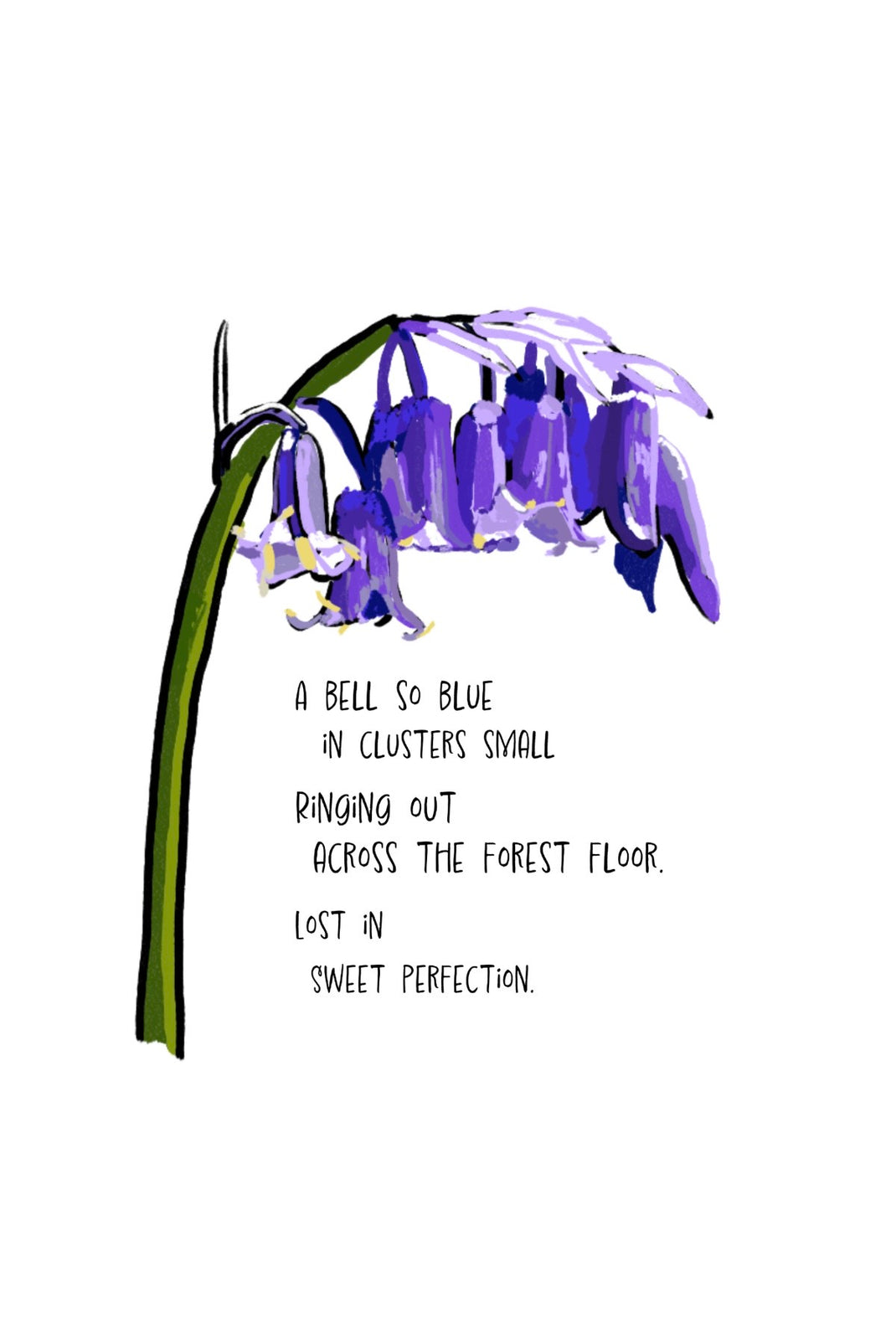 Smooth Scribe – Smooth Scribe | Eco-friendly Sustainable Stationery